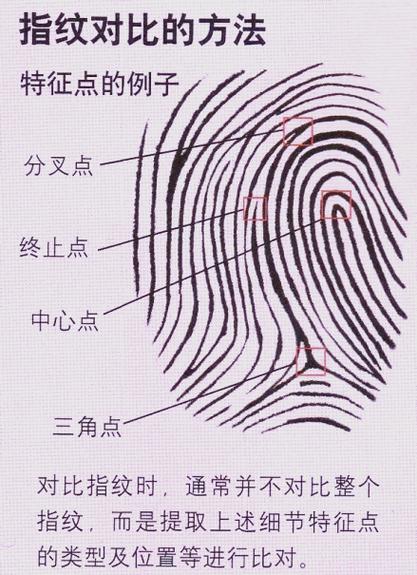 指纹鉴定到哪里去鉴定截图