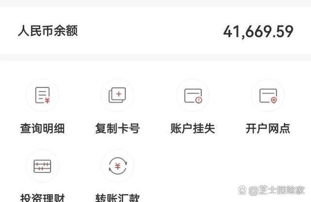 余额明细查询图标
