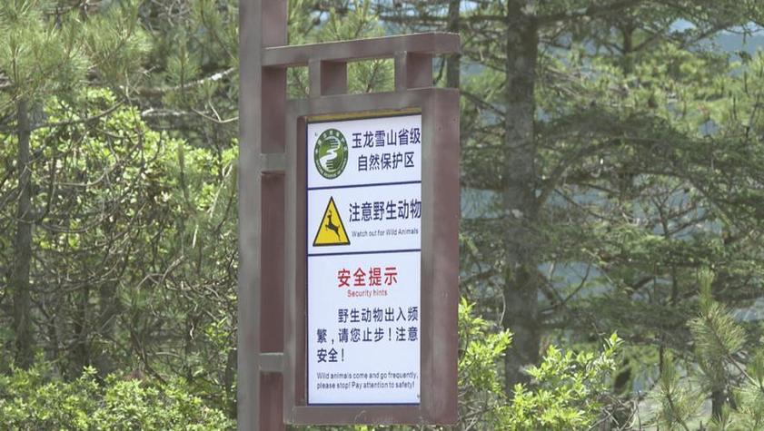 yy设置游客禁入步骤