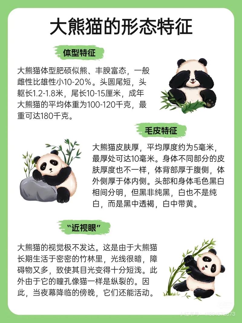 大熊猫的10个秘密图标