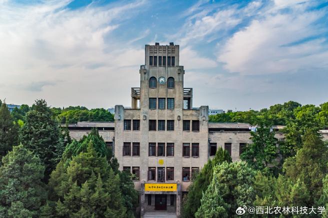 西农云雀图标