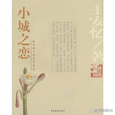 小城故事小说阅读截图