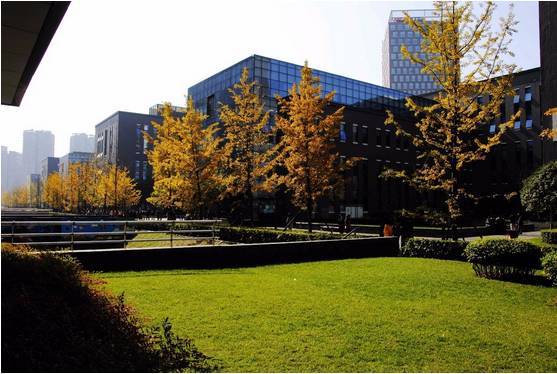 成都麦子学院