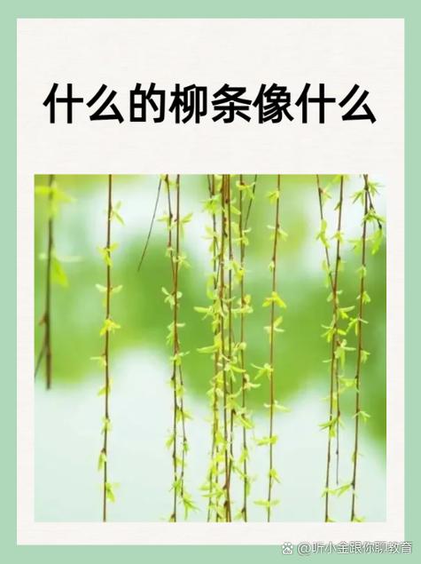 明喻定义截图