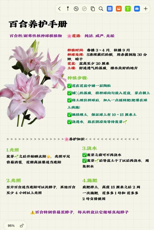 百合会官网的注意事项图标