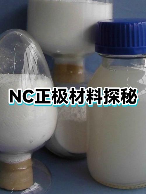 NC是骂人的意思吗图标