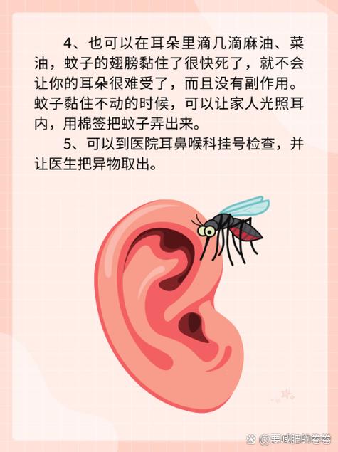 蚊子进耳朵不管它行吗截图