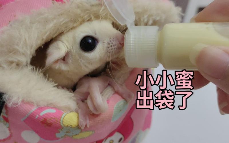 支小蜜解除绑定视频截图