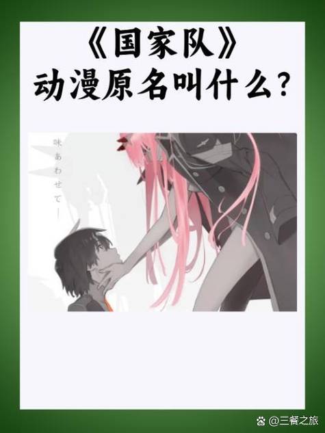 国家队动漫人物简介截图