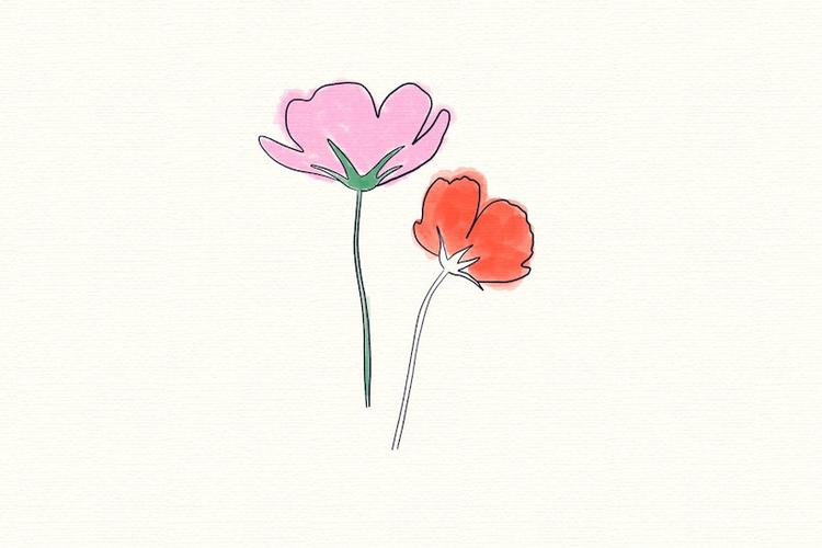 procreate笔刷素材包图标