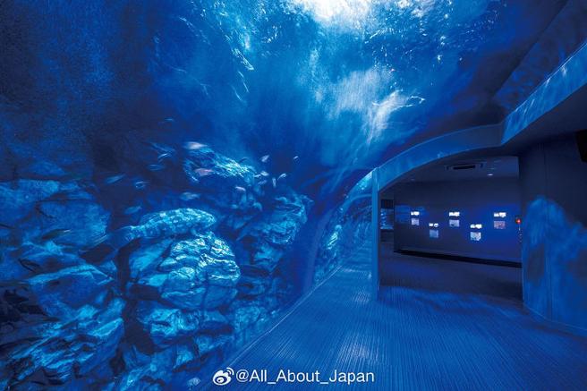 附近水族馆图标