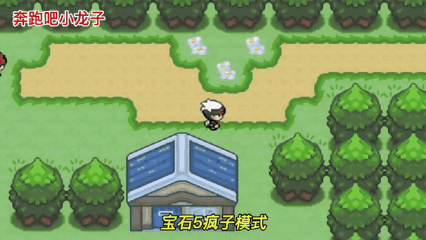 口袋妖怪白金御龙道馆怎么打截图
