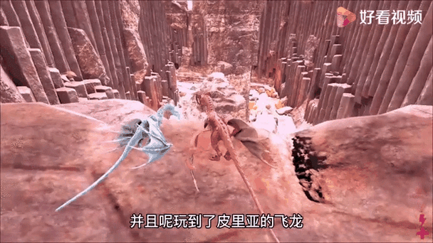 方舟生存进化成长为成年代码图标