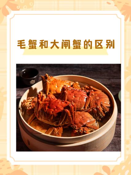 毛蟹养殖一亩成本多少截图