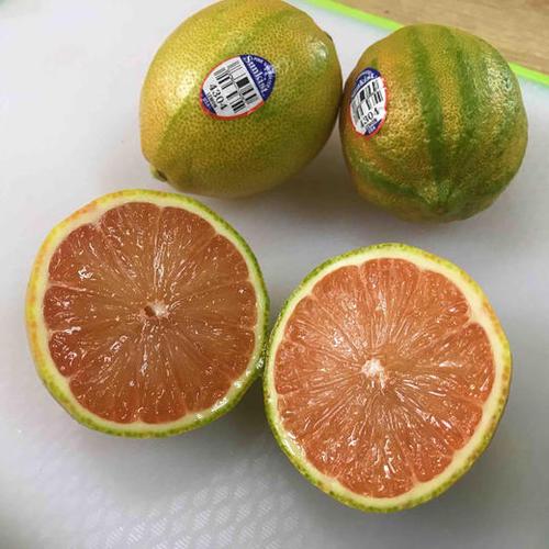 斑马果园领免费水果图标