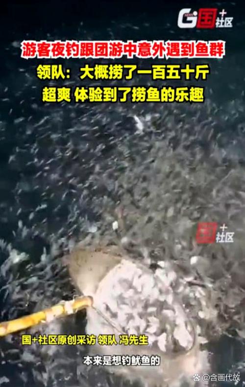 没有鱼群大爆发的任务