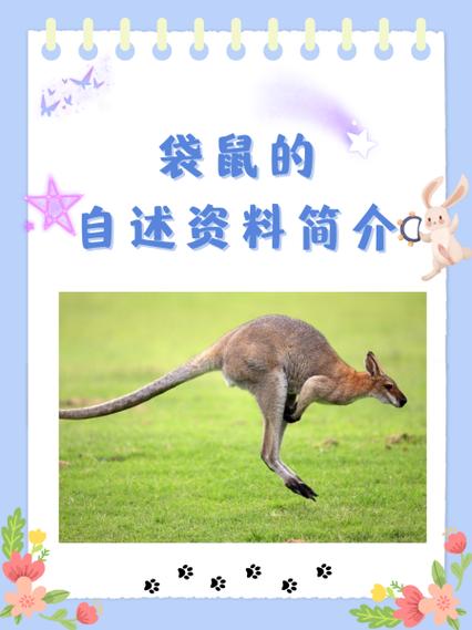 袋鼠校园如何注册图标