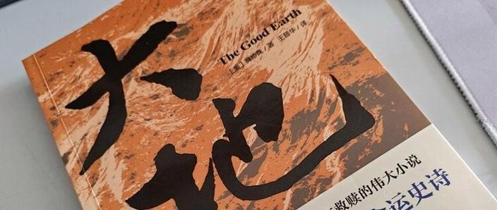 镜像以南小说截图