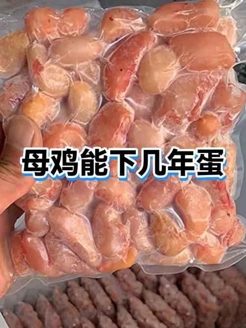 土鸡能下几年蛋图标