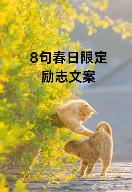 励志文案高质量走心文案截图