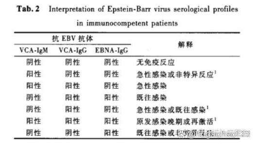 eb病毒是癌症吗图标