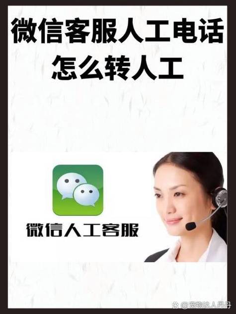 95017转人工的方法图标