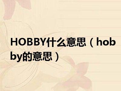 业余爱好 hobby的中文意思截图