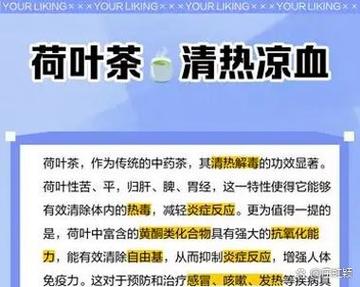 荷叶泡水有什么作用图标