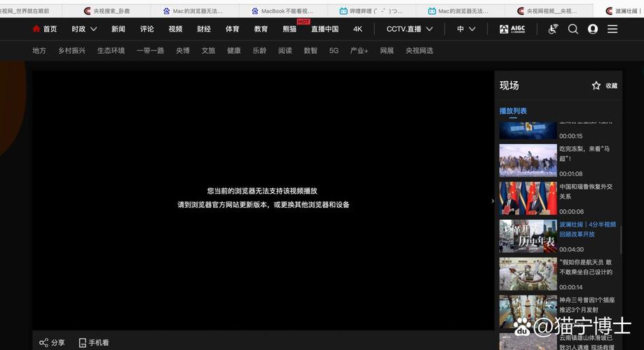 视频播放器无法播放什么原因