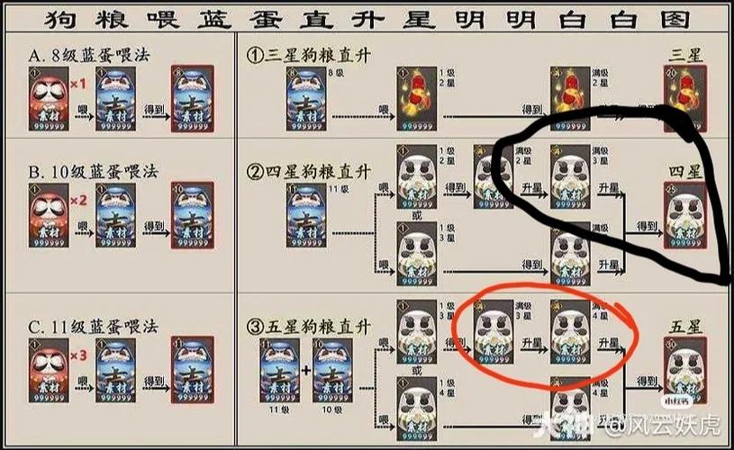 阴阳师入门教程