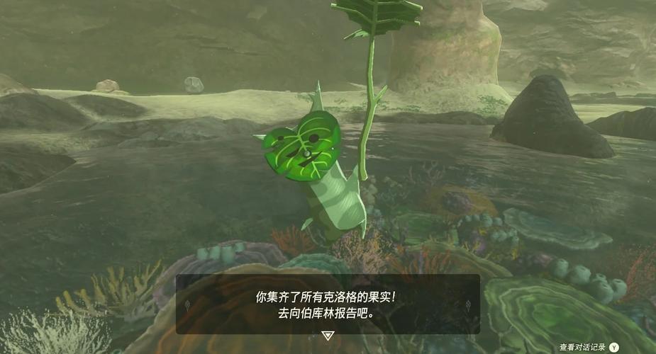塞尔达莫约里桥呀哈哈图标