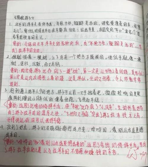 骆驼祥子好句摘抄及欣赏图标