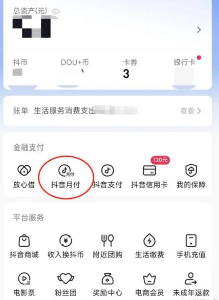 抖音下单用什么支付截图