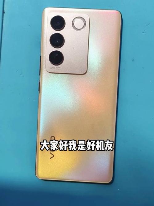 vivo前置摄像头模糊图标