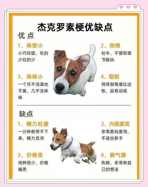 十大养狗app排行榜图标