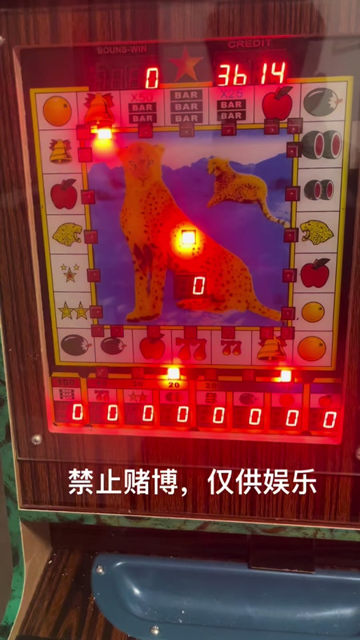 老虎机游戏赚钱截图