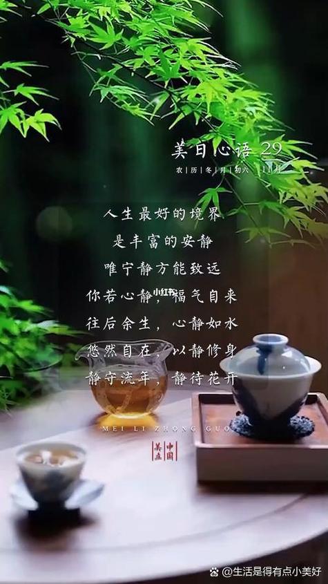 人生感悟100篇图标