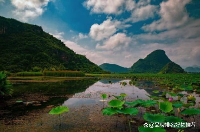 云南最火10个景点截图