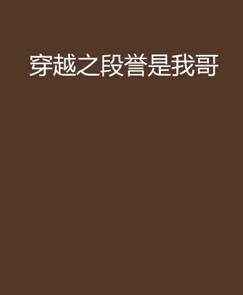 穿越之我是段誉图标