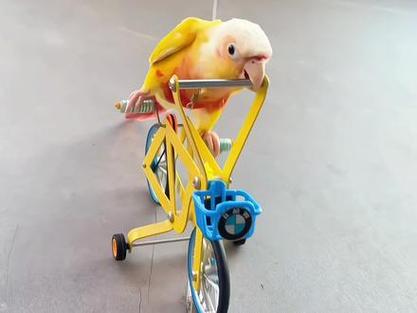 小鸟新款电动车截图