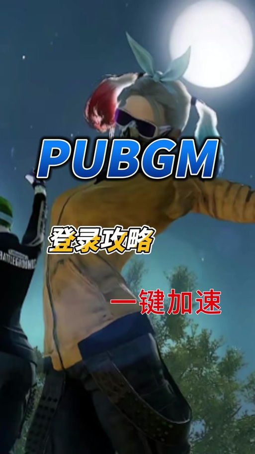 PUBG有风险吗图标