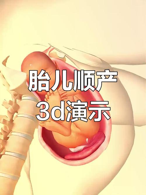 宝宝巴士怀孕生孩子图标