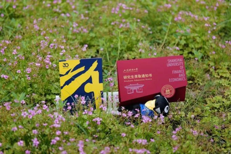 顺丰给研究生的待遇图标