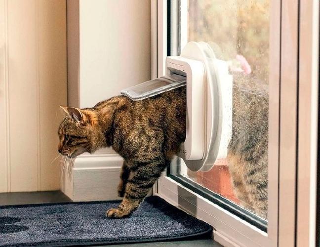 不破坏门装猫门截图