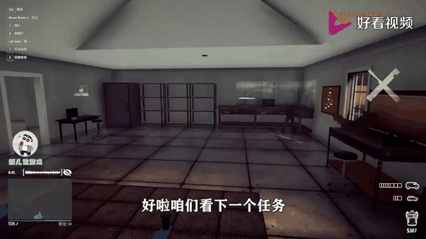 小偷模拟器205攻略图标