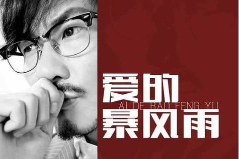 爱的暴风雨国语版截图