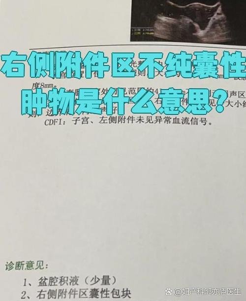 不纯囊性暗区是什么截图