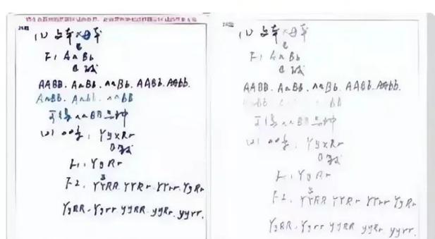 学校电脑阅卷截图