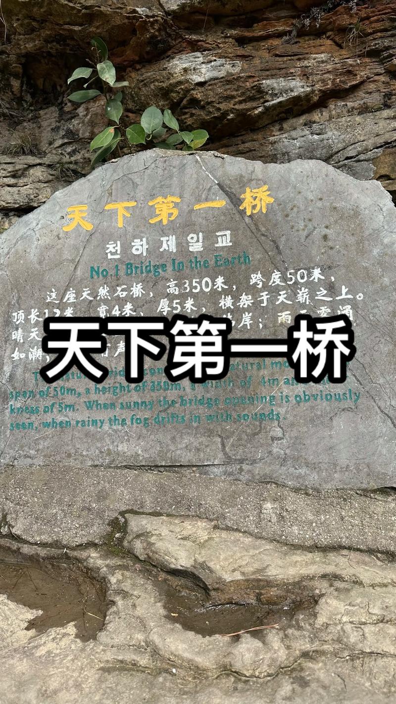 国区能给俄区送礼物吗图标