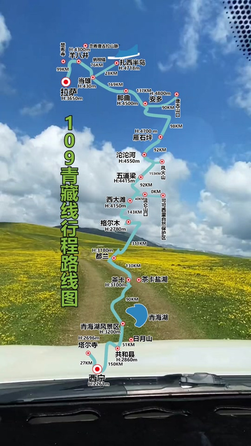 老陈李青青藏线图标